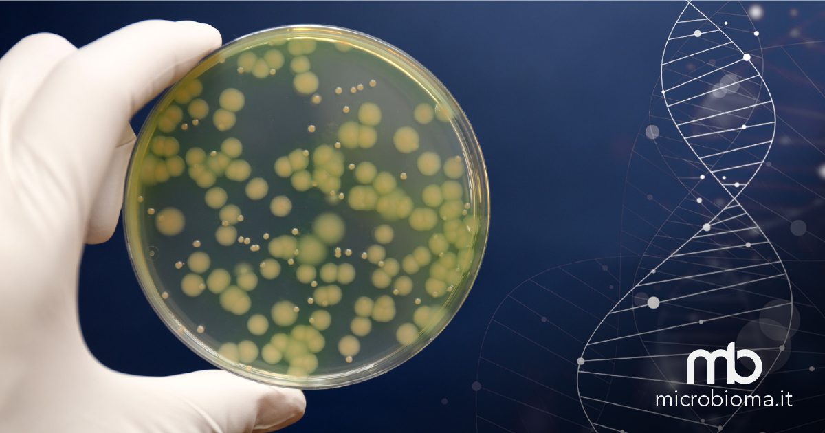 Microbiota e microbioma: quali sono le differenze?