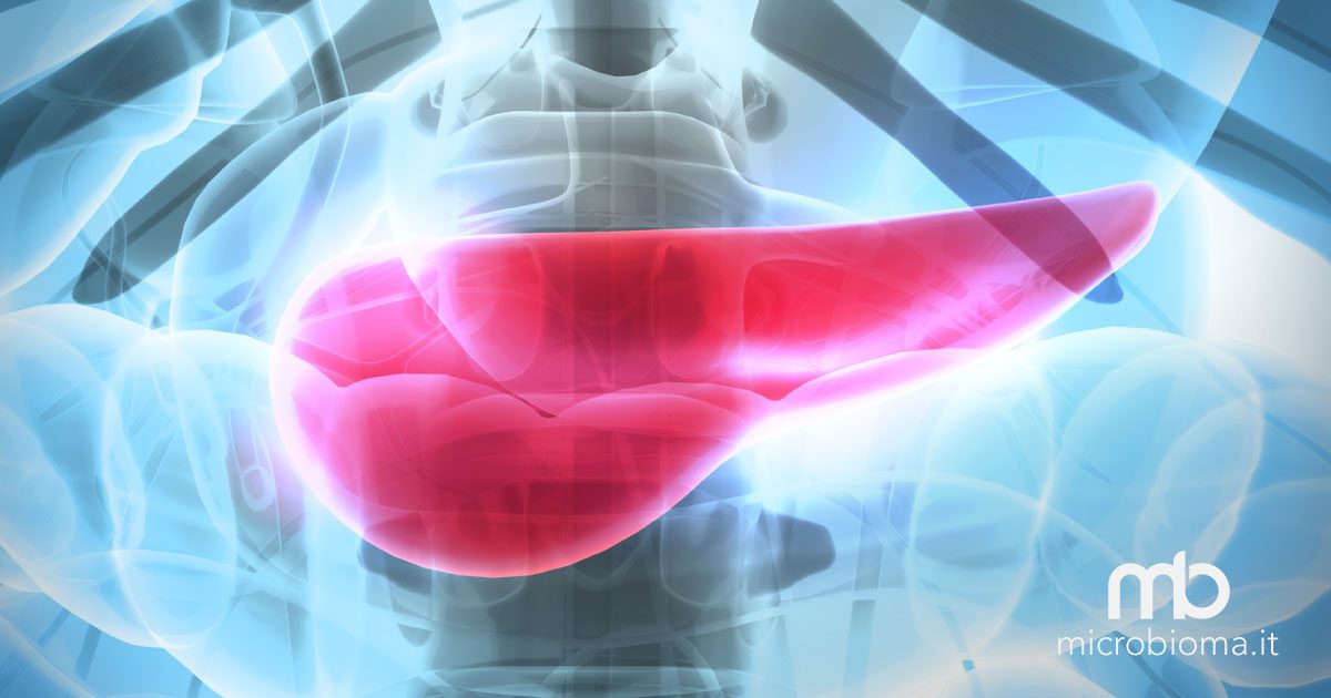 Tumore del pancreas: dal microbiota intestinale nuove speranze di cura