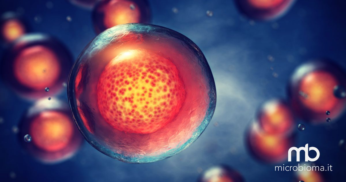 Trapianto staminali: disbiosi intestinale correlata a malattia acuta da ...