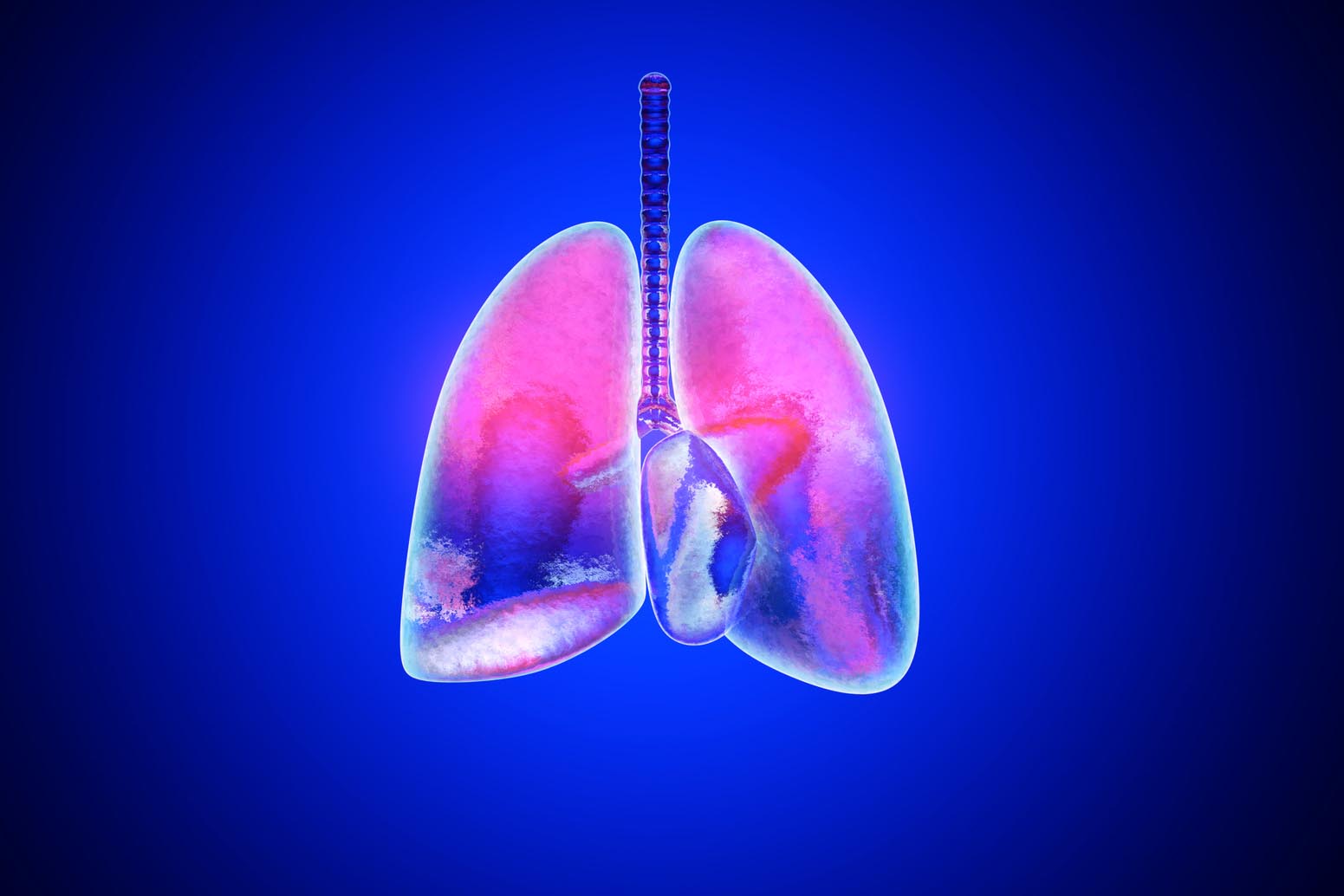 Microbiota polmonare e intestinale: possibili target per malattie ...