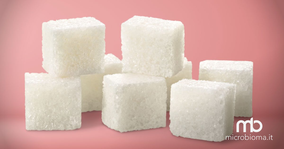 Zuccheri raffinati alterano il microbiota intestinale e inducono la colite
