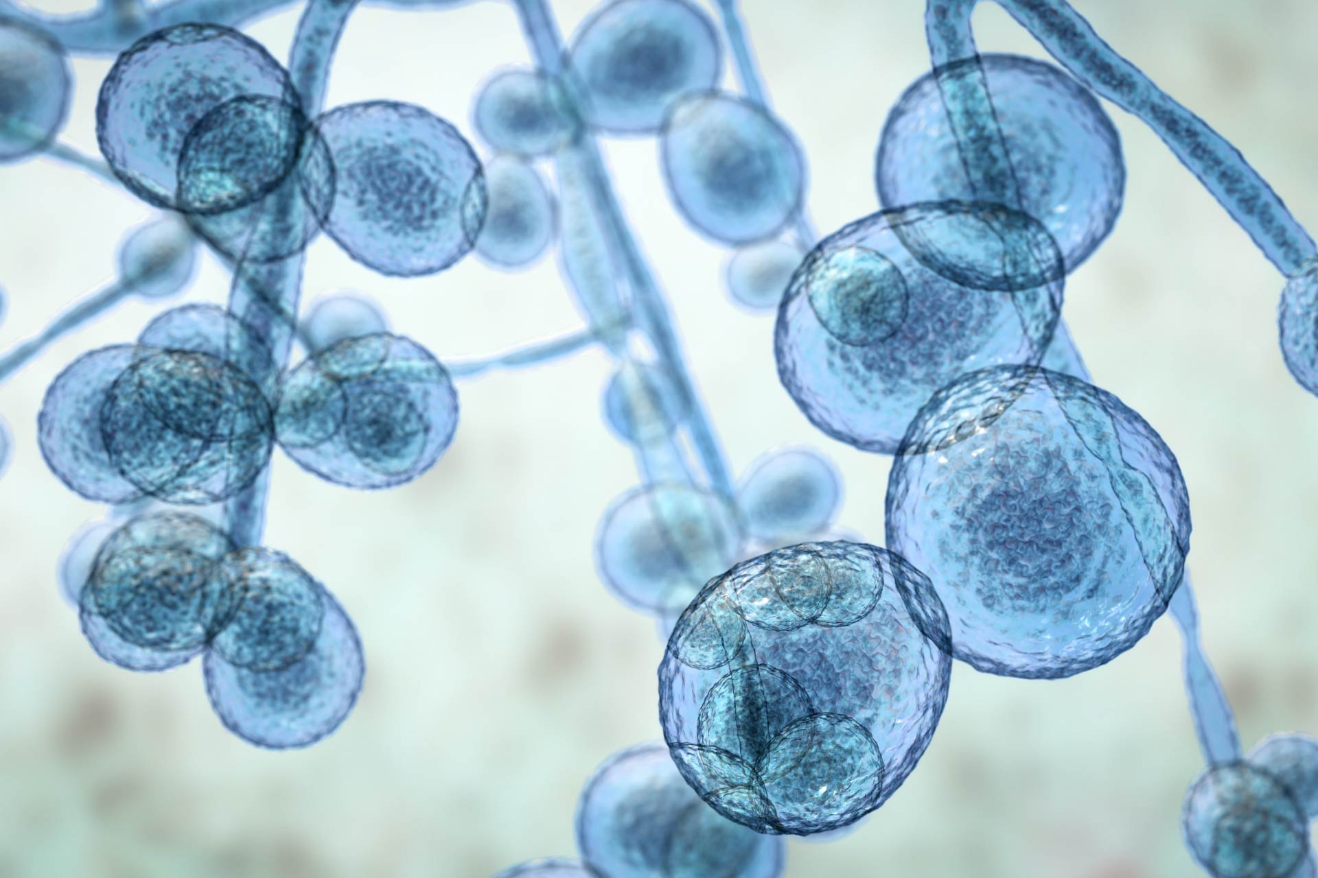 PMA: monitorare il microbiota vaginale per prevedere efficacia dell ...