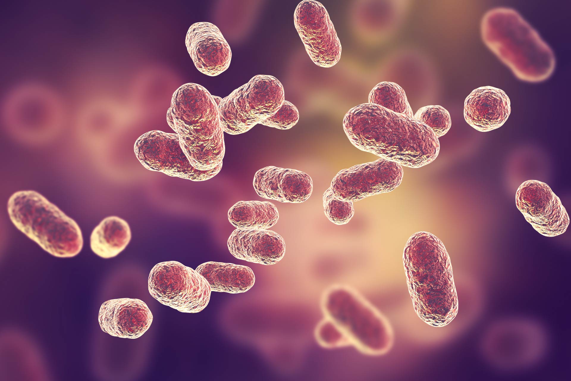 microbiota vaginale - Microbioma.it
