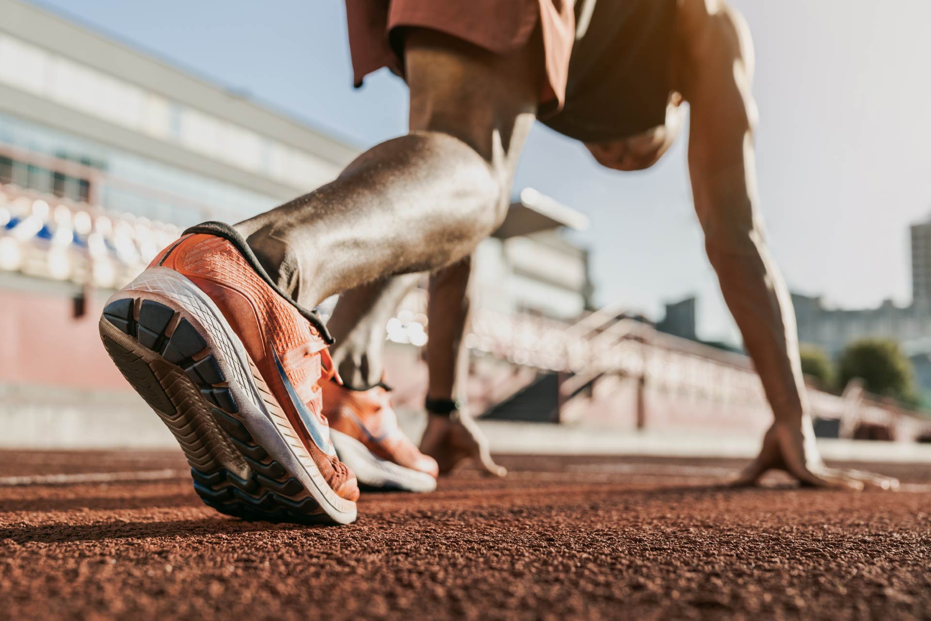 Sport e microbiota intestinale: una review sulle diete che migliorano ...