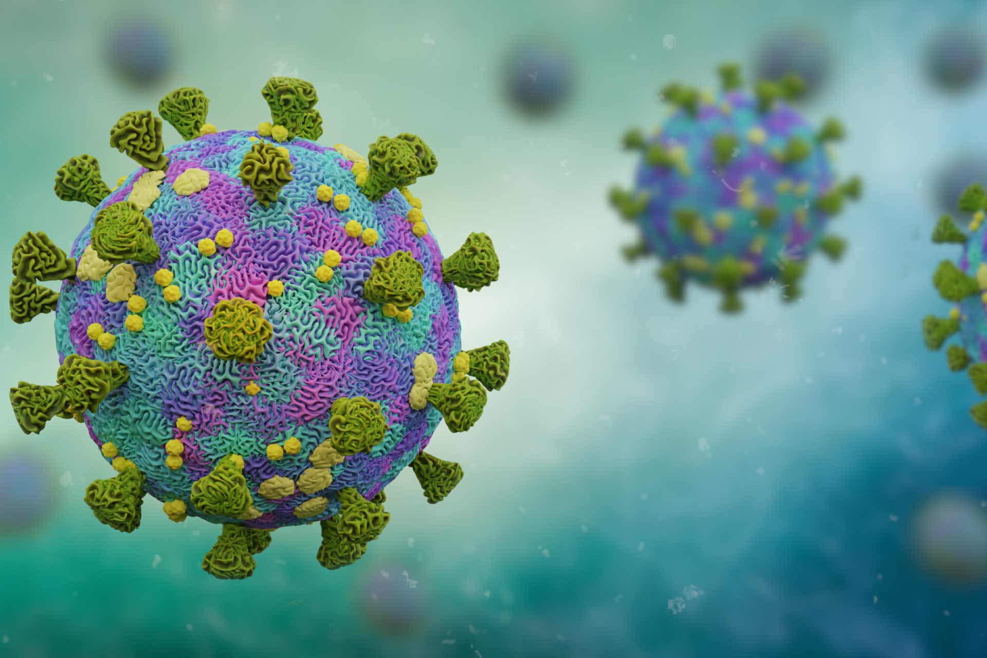 COVID-19: Lacticaseibacillus paracasei DG induce risposta immunitaria ...