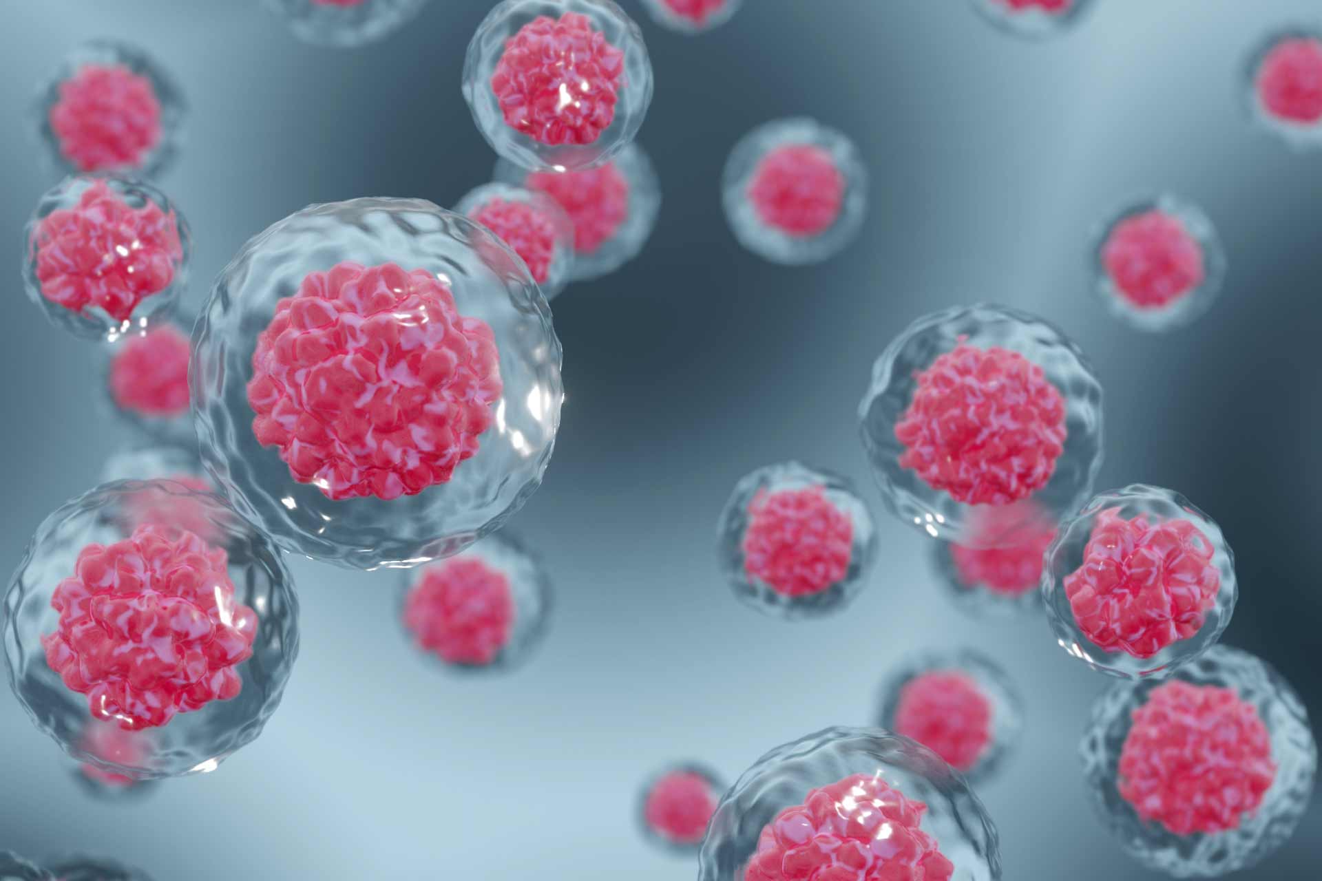 Trapianto di staminali emopoietiche: il ruolo della Candida intestinale