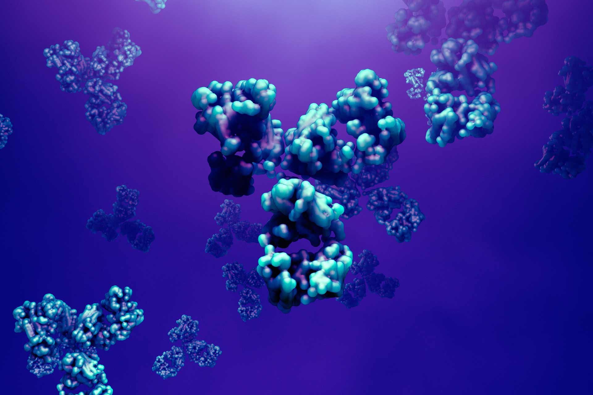 Vescicole extracellulari di Bacteroides thetaiotaomicron modulano il ...