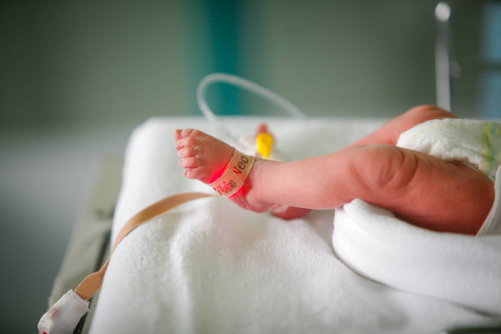 Enterocolite necrotizzante nei neonati: microbioma e viroma possibili ...