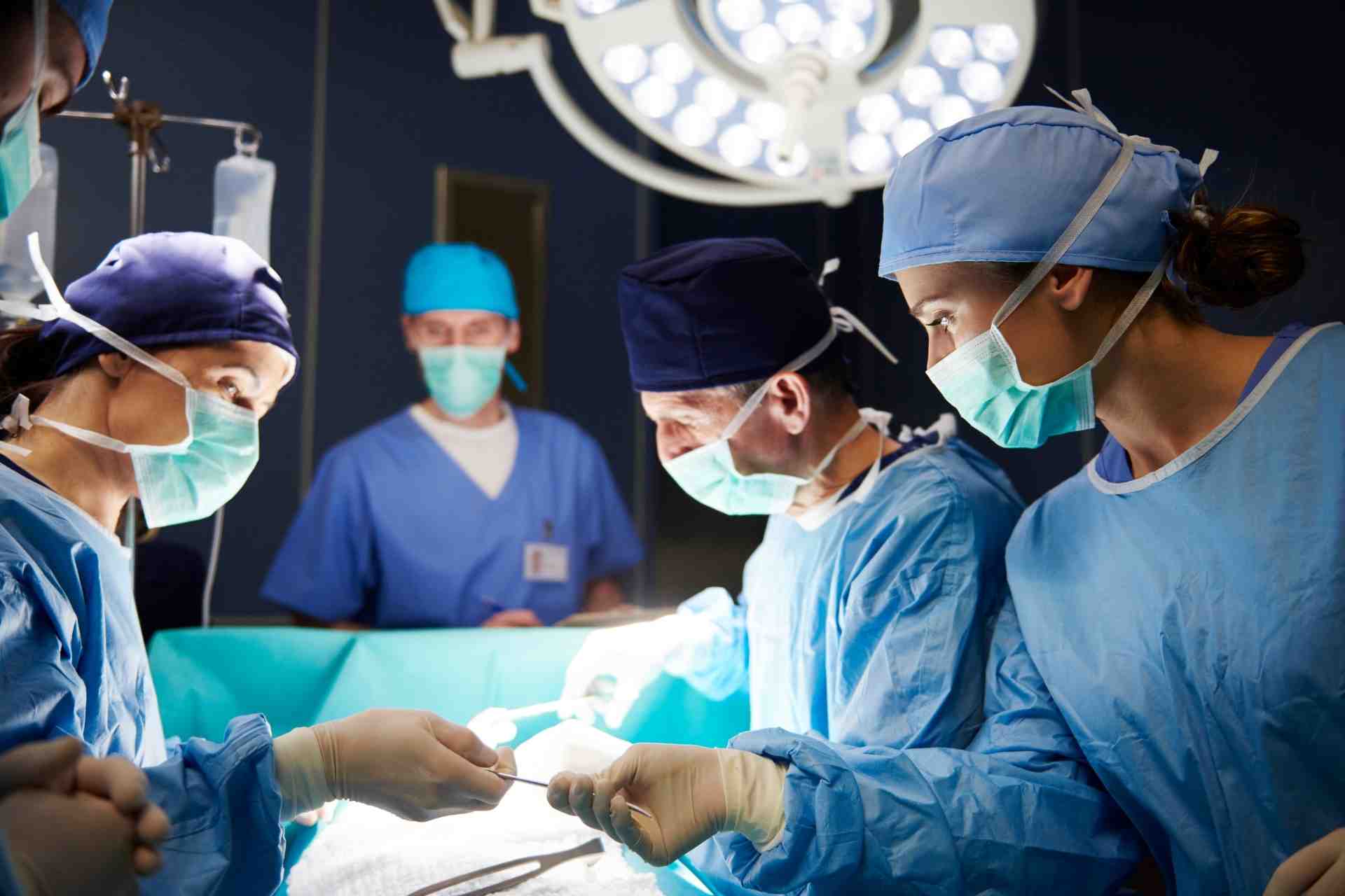 Trapianto d’organo: disbiosi intestinale potrebbe ridurre sopravvivenza ...