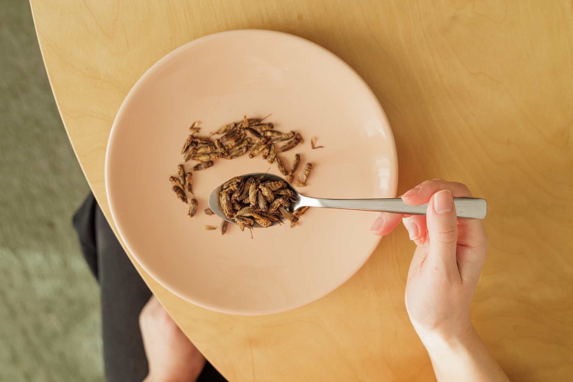 La chitina degli insetti migliora il microbiota intestinale