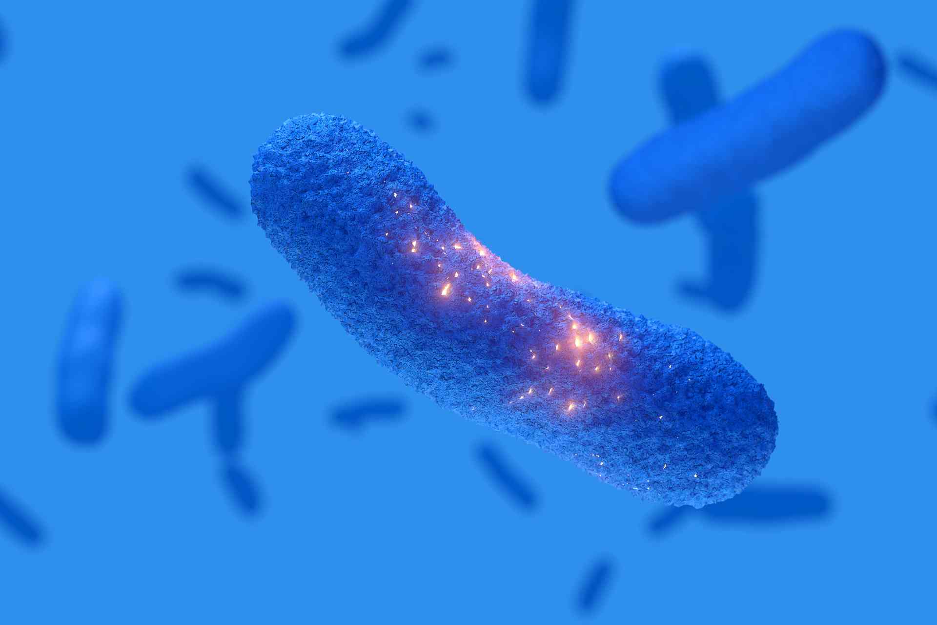 Anche il microbioma è “social”: l'impatto della trasmissione dei ...