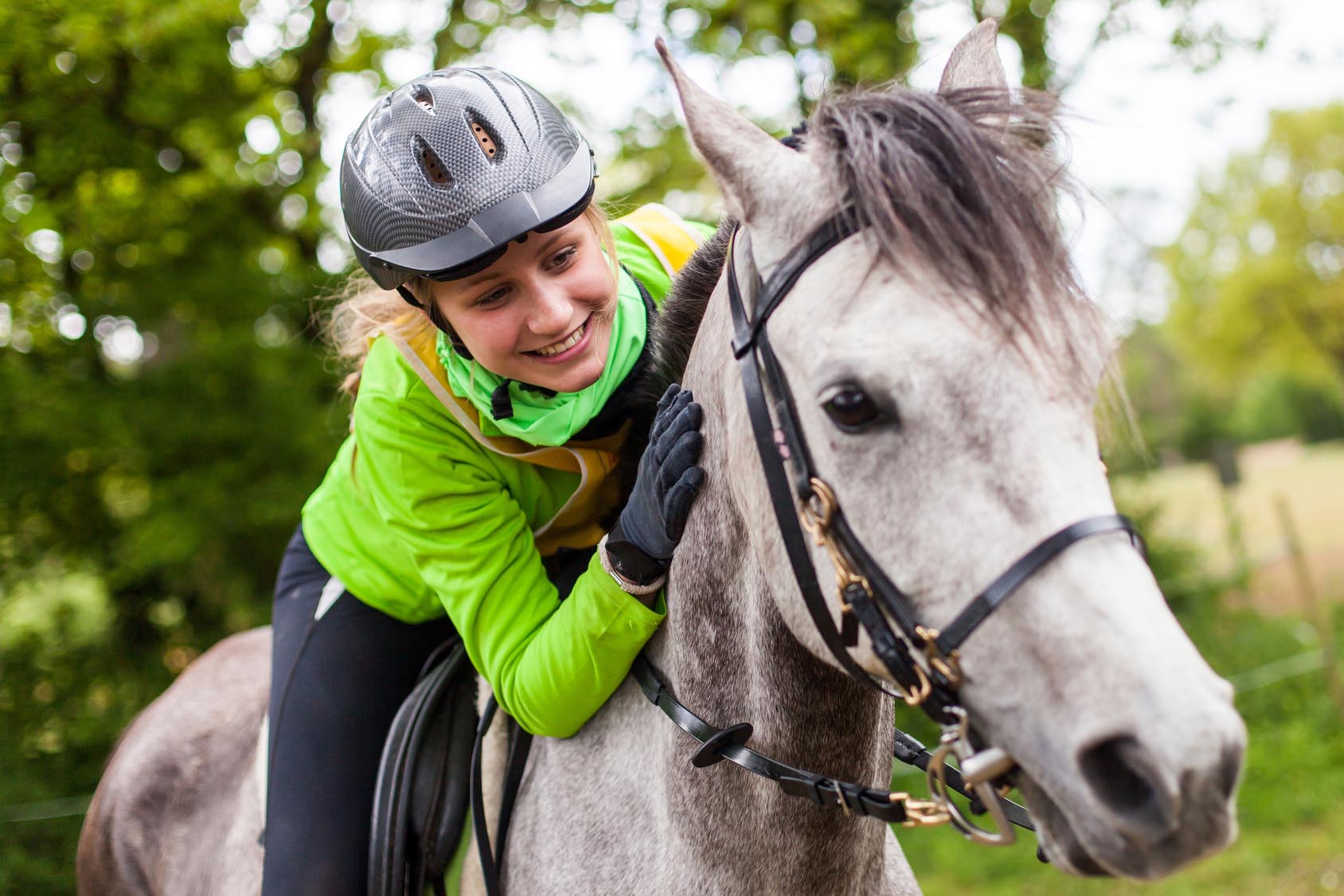 Cavalli da endurance: studio indaga correlazione tra microbioma e ...