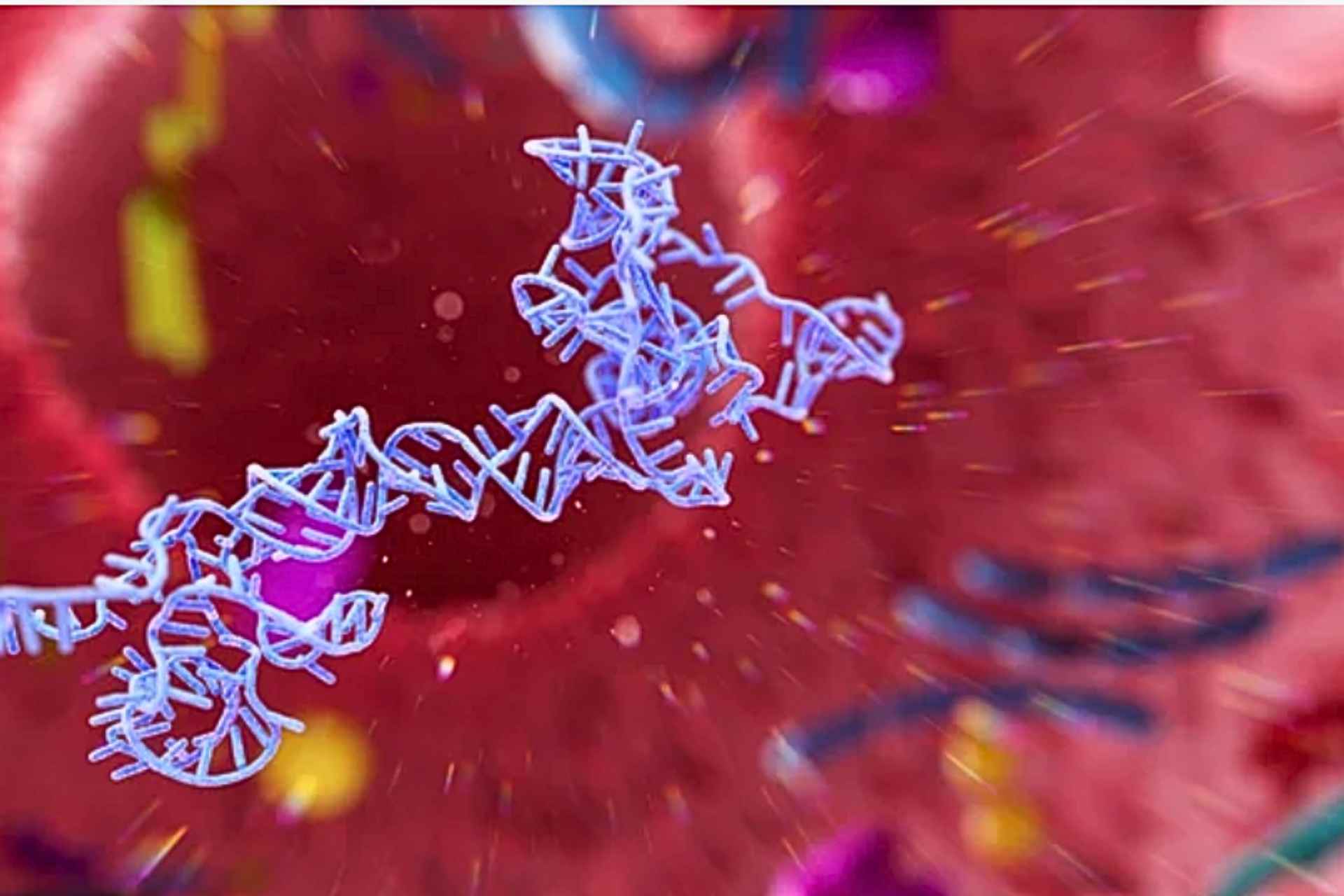 Scoperti nell’intestino nuovi agenti simili a RNA virus