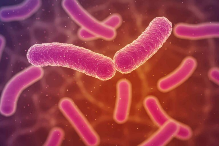 Somministrazione orale di Lactobacillus crispatus M247 in donne con ...