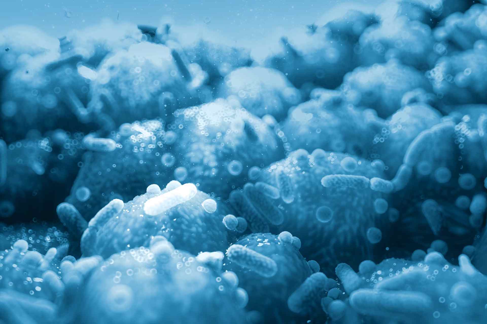 Postbiotici e Vitamine Biotiche: la nuova frontiera della salute